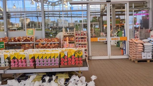 08.03.24.Орхидеи в Оби Мега Парнас на 8 марта))(АРХИВ)