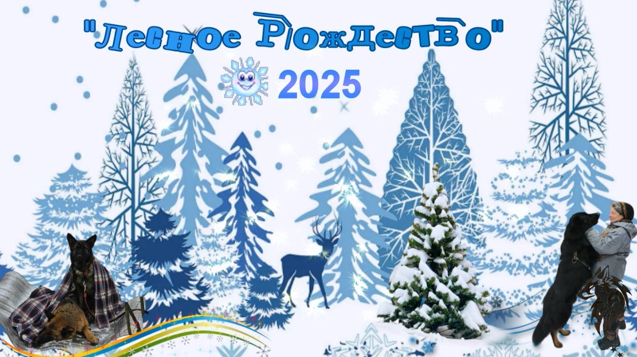 Лузино 2025 (сокращенный вариант видео)
