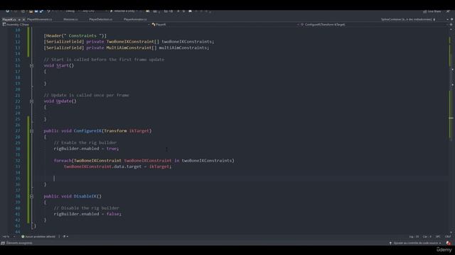 16 - Configuring the IK Constraints