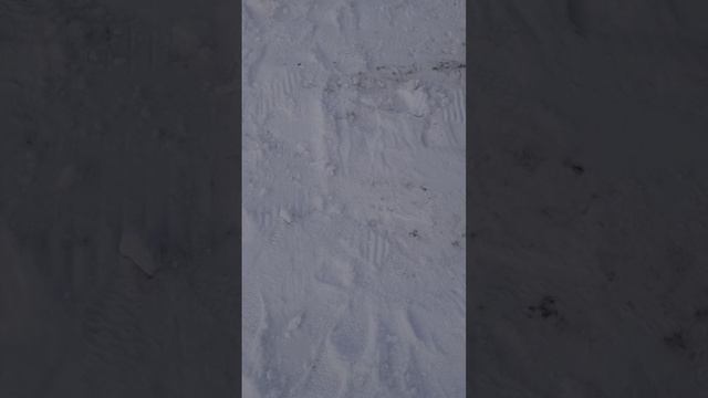 машина сашла с ума