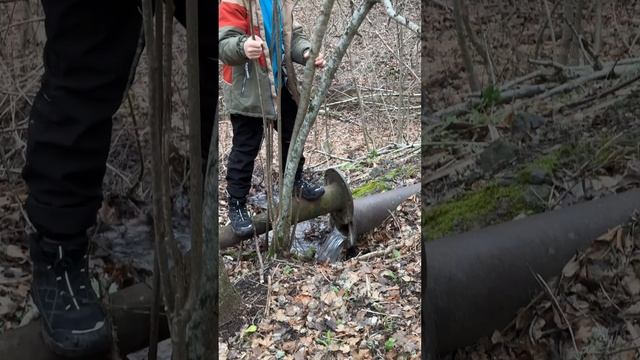 Крым январь ‘25. Прогулка к водопаду гейзер