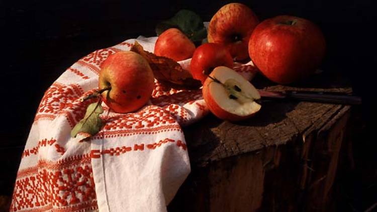 Exhibitions in Samara.
Выставки в Самаре 1995