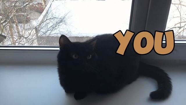 Возвратные местоимения (myself, herself, yourself, ...)