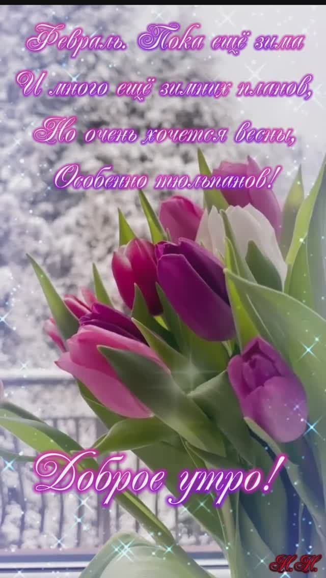 Доброе утро февраль