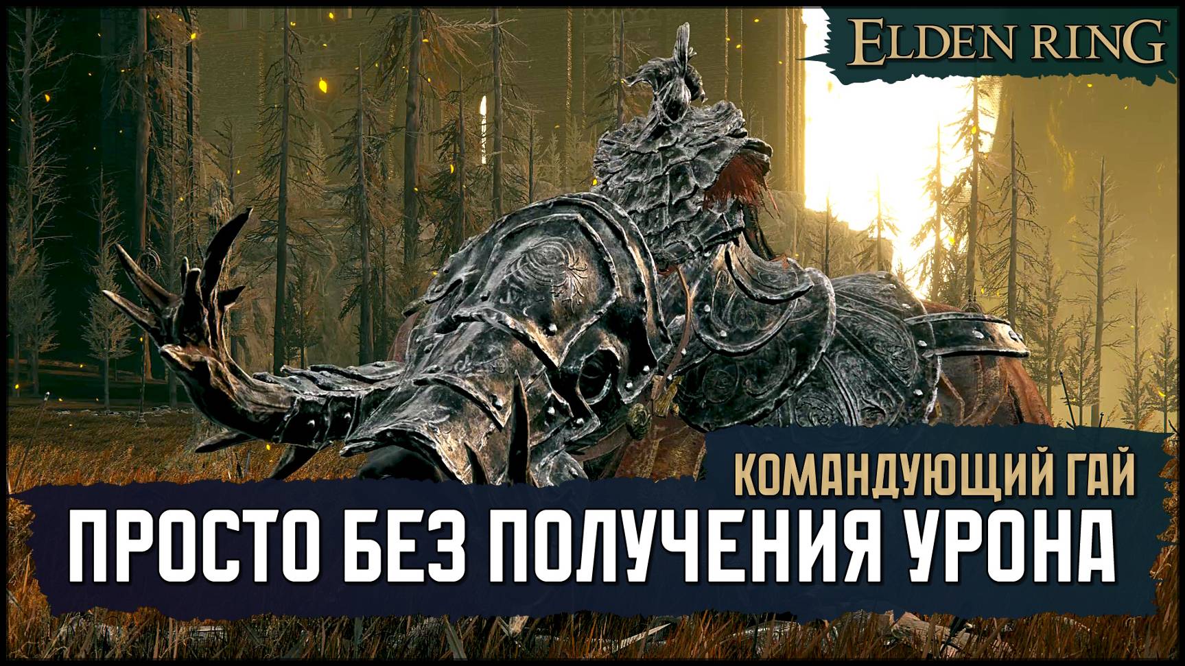 [No-Hit] Командующий Гай | Большая звезда v2 🡆 Elden Ring