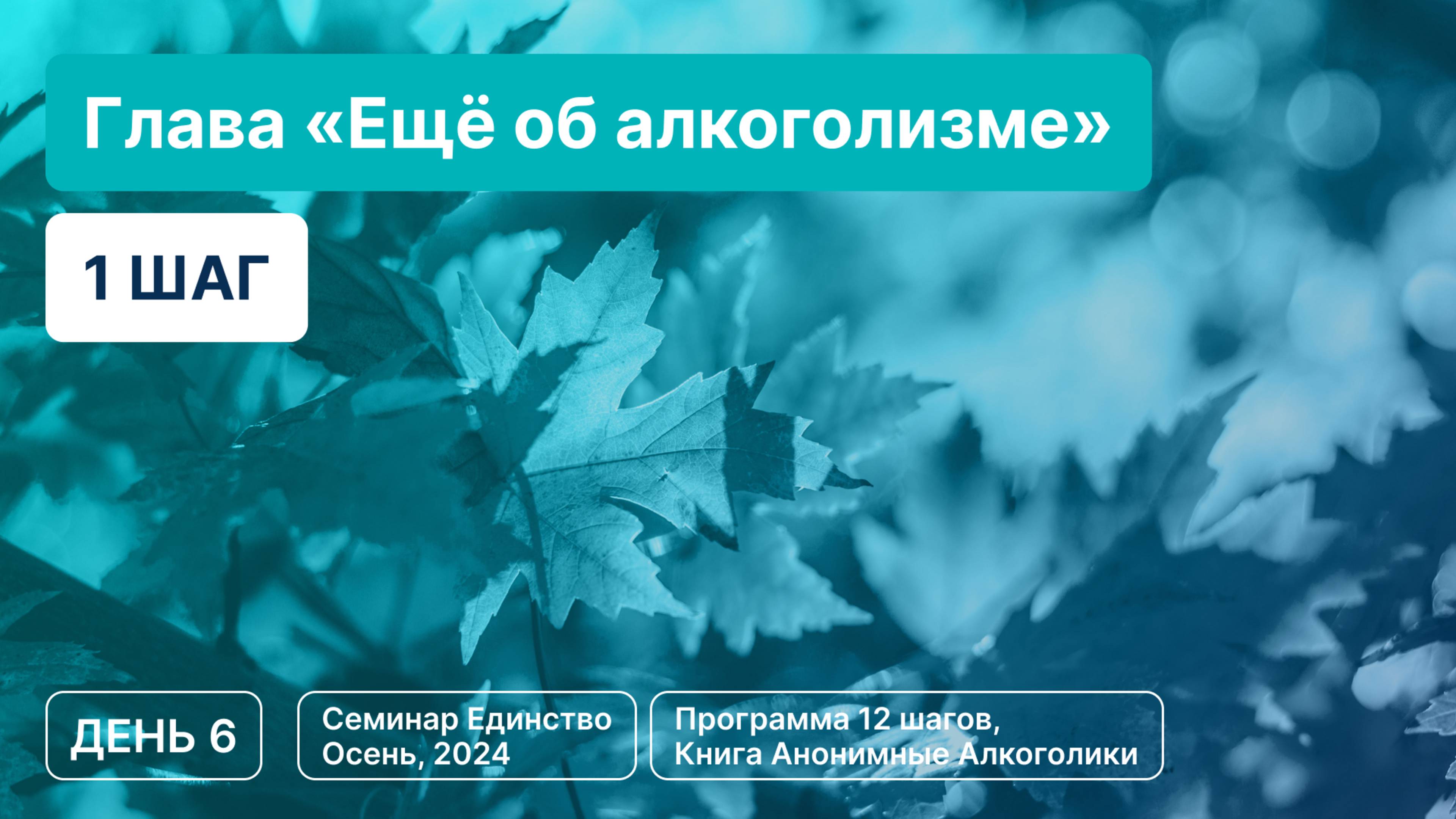 День 6 - Глава «Ещё об алкоголизме» (1 шаг)