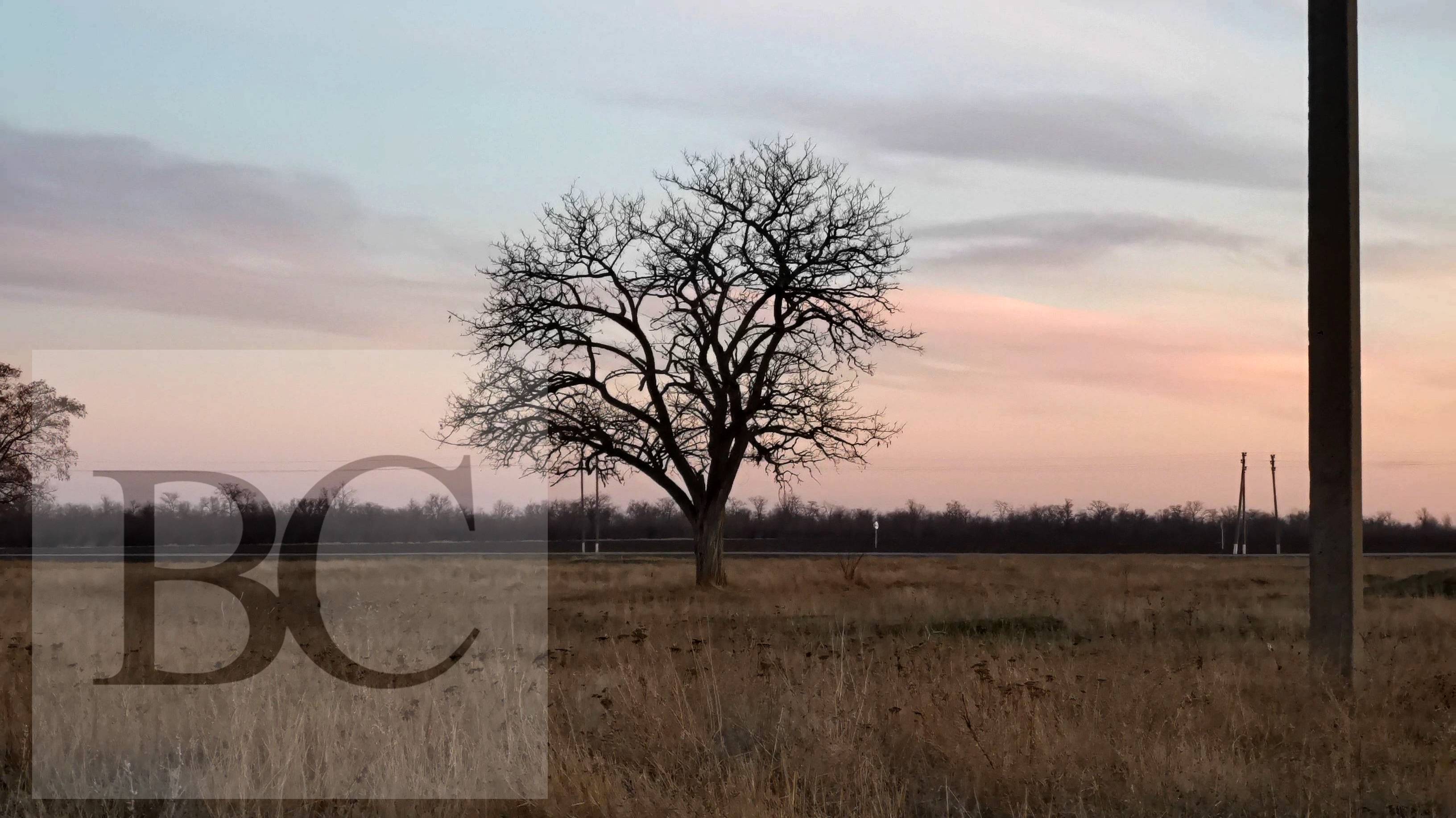 Погода 2025-01-11 Тишина и покой