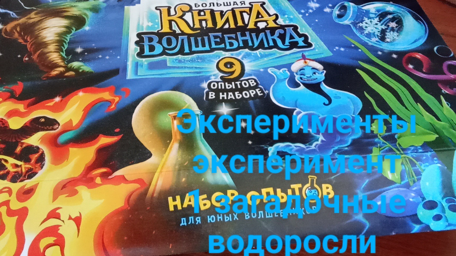 эксперименты 1 эксперимент загадочные водоросли