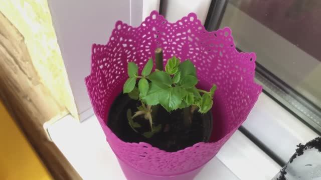 ВЛОГ: Уборка/Cleaning на балконе! Сделали дверной проём!