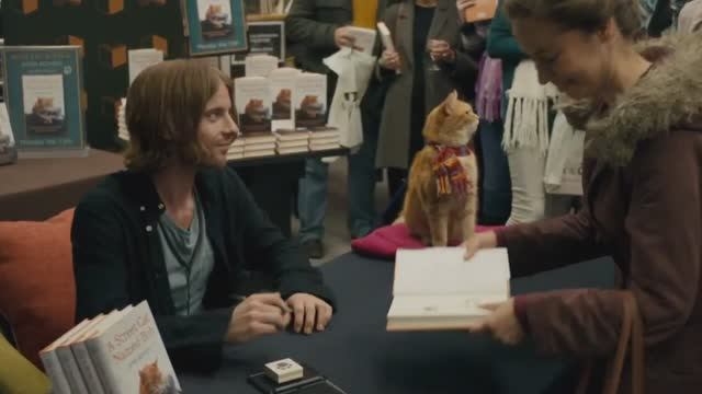 Послушай друг.