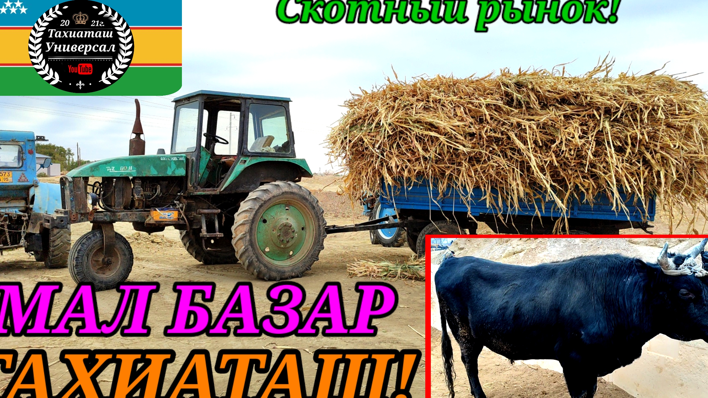 12-01-2025 СКОТНЫЙ РЫНОК -МАЛ БАЗАР 🐄