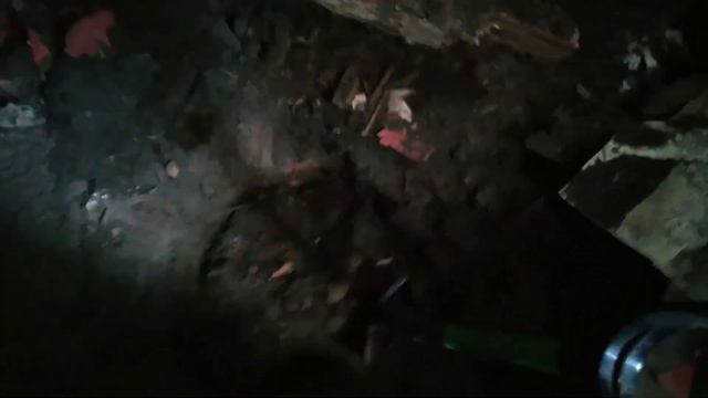 ЦАРСКАЯ УСАДЬБА. ЗИМНИЙ ШУРФ. ЭКВИНОКС 800