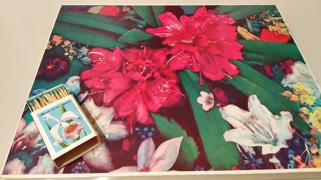 Спички сувенирные :"Ботанический сад АН СССР" Обзор. Филумения