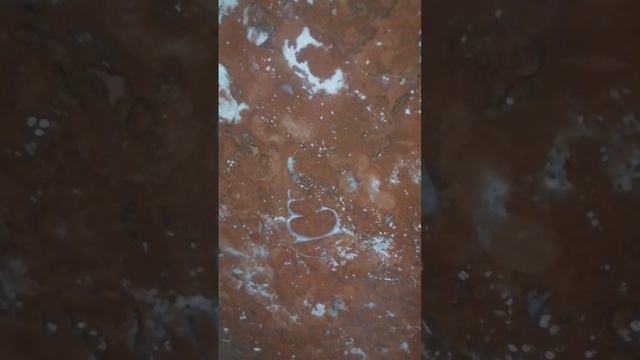 Метро, допотопное. Станция Краснопресненская. Найти древних моллюсков в облицовке мрамора.