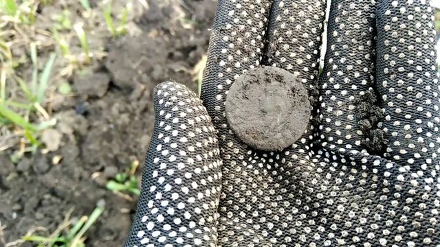 Коп в лесу. Нашли Мона Лизу