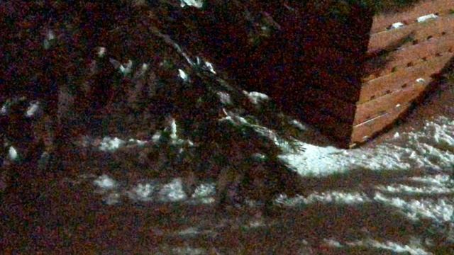 ночной дозор