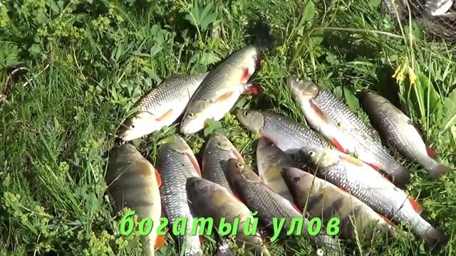 река Уфа 2013 год рыбалка