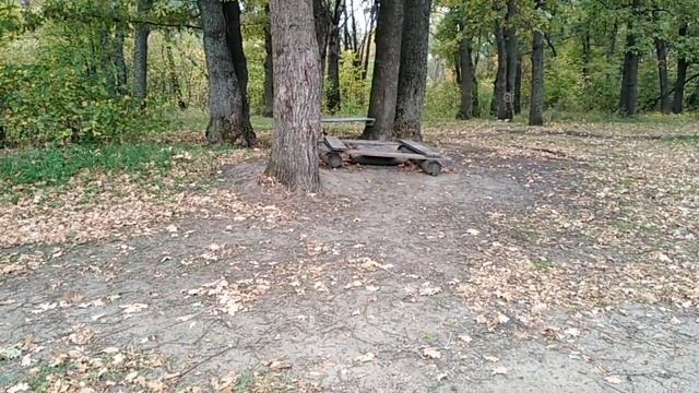 Рыбалка на реке Ворона