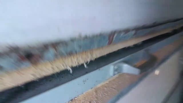 СОВМЕСНАЯ ИНКУБАЦИЯ перепелиных и куриных яиц (результат).mp4