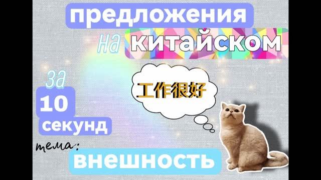 Внешность китайский