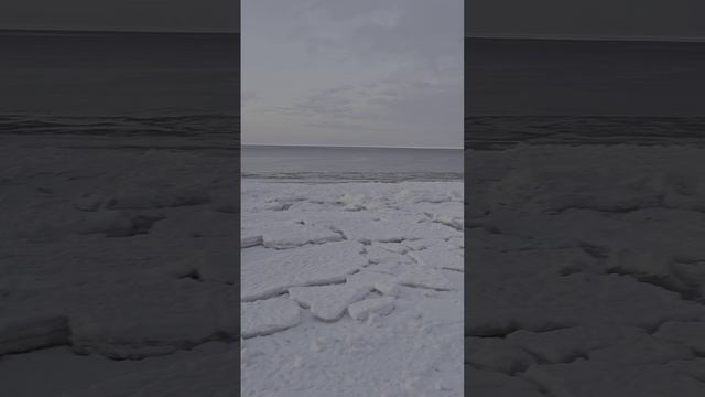 Белое море январь 2025