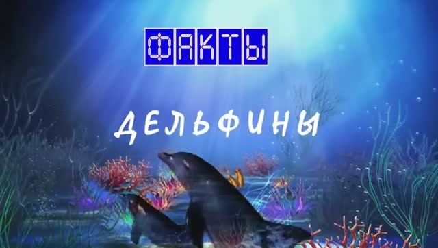 Приколы о рыбалке