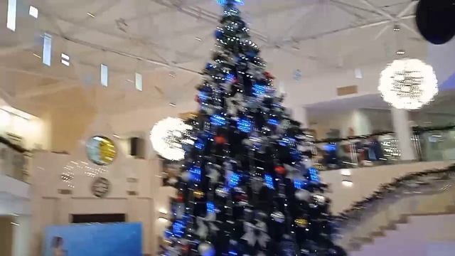 Брестский театр кукол.2025г.