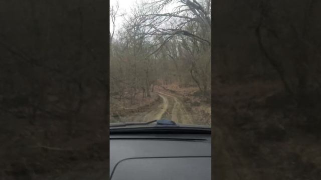 Вова застрял в грязи