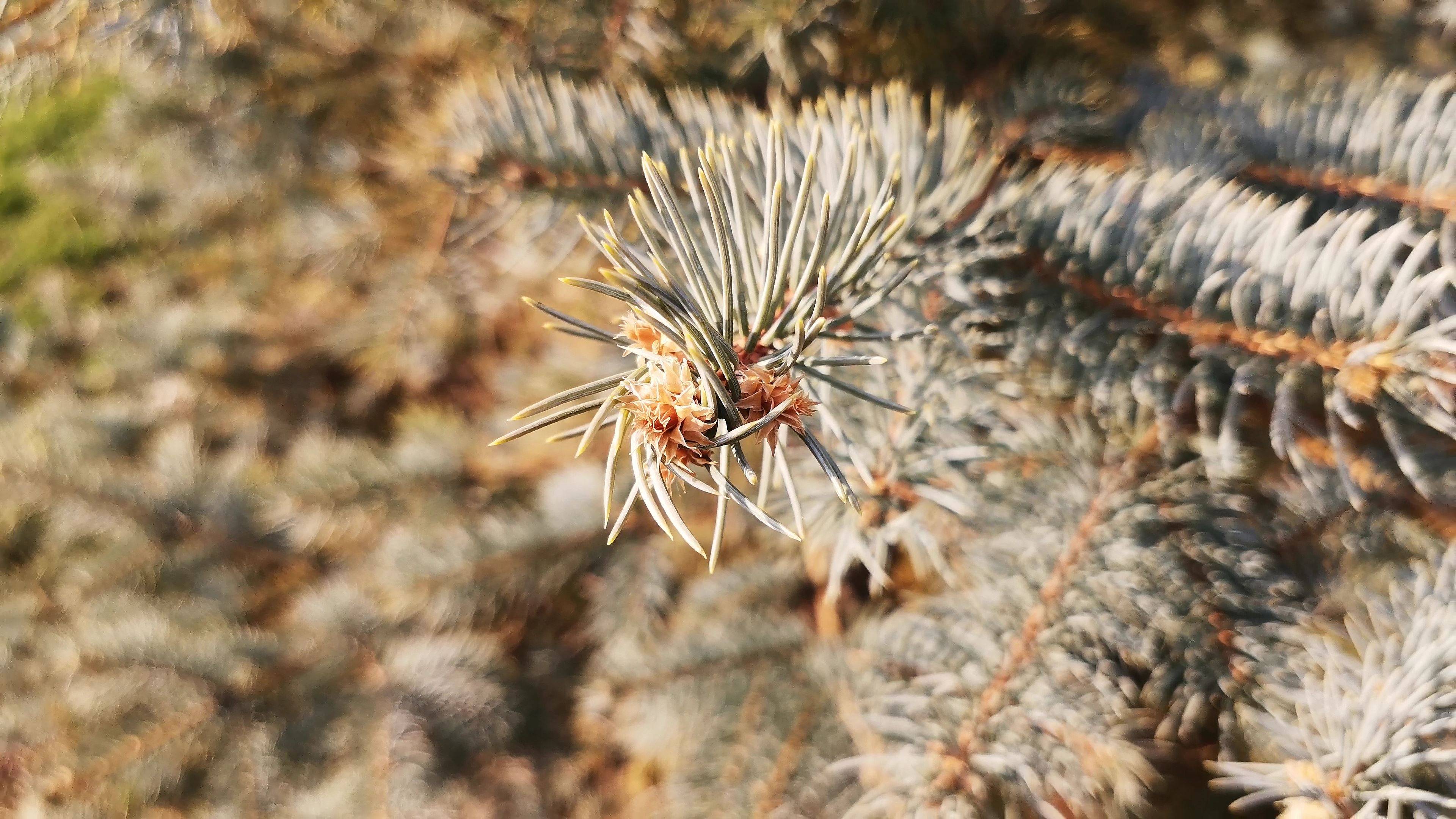 Погода 2025-01-12 Весна зимой