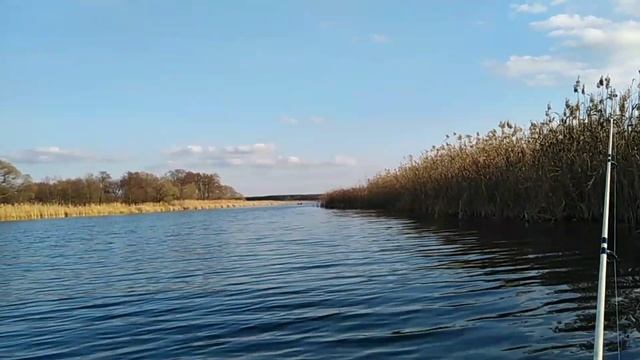 Щука!!! Поймали и съели!