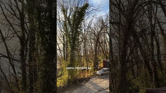 Строим дом с шикарными видами в с. Кудепста🏠 #строимвсочи #домуморя