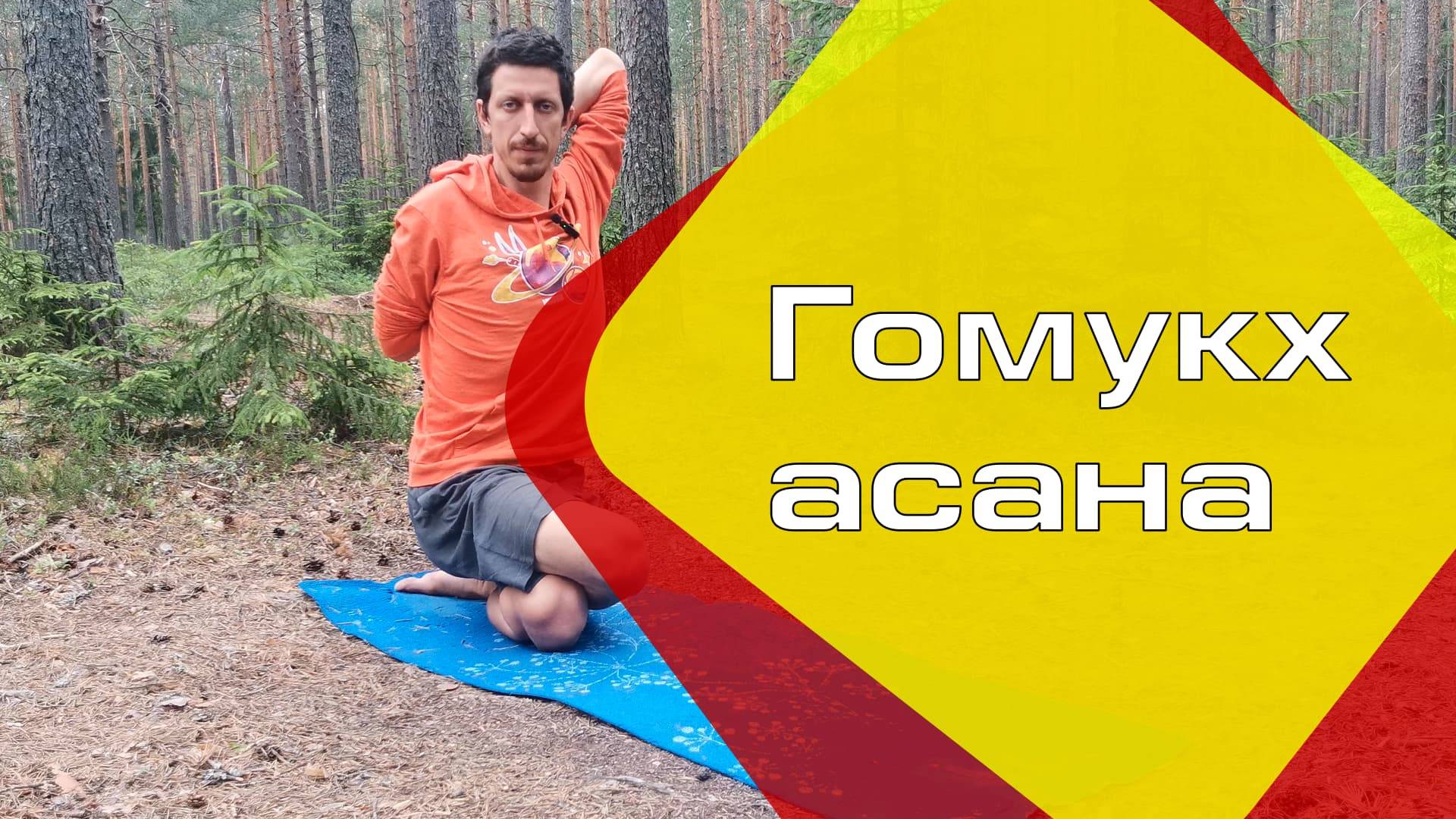 Гомукхасана / Поза головы коровы (Техника выполнения асан йоги)