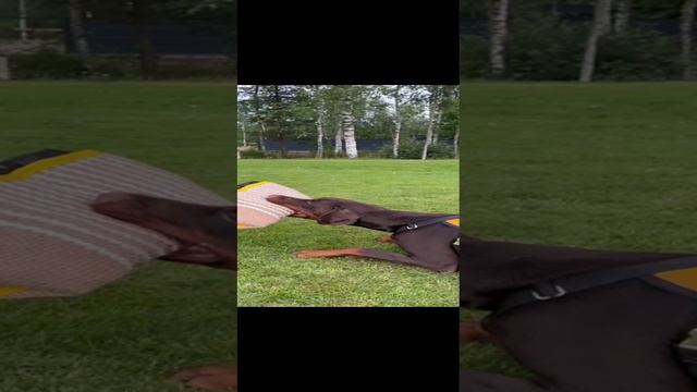 00_4db4d321