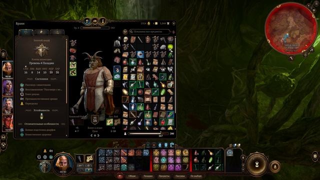 Baldur's Gate 3 №17 -  Древняя обитель карги