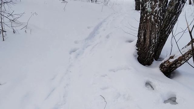 Эхо советской эпохи . ГТО .mp4