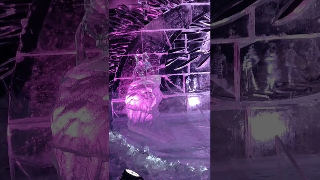 60 мин. в очереди. Фестиваль ледового искусства "КроншЛёд" в Петропавловской крепости!