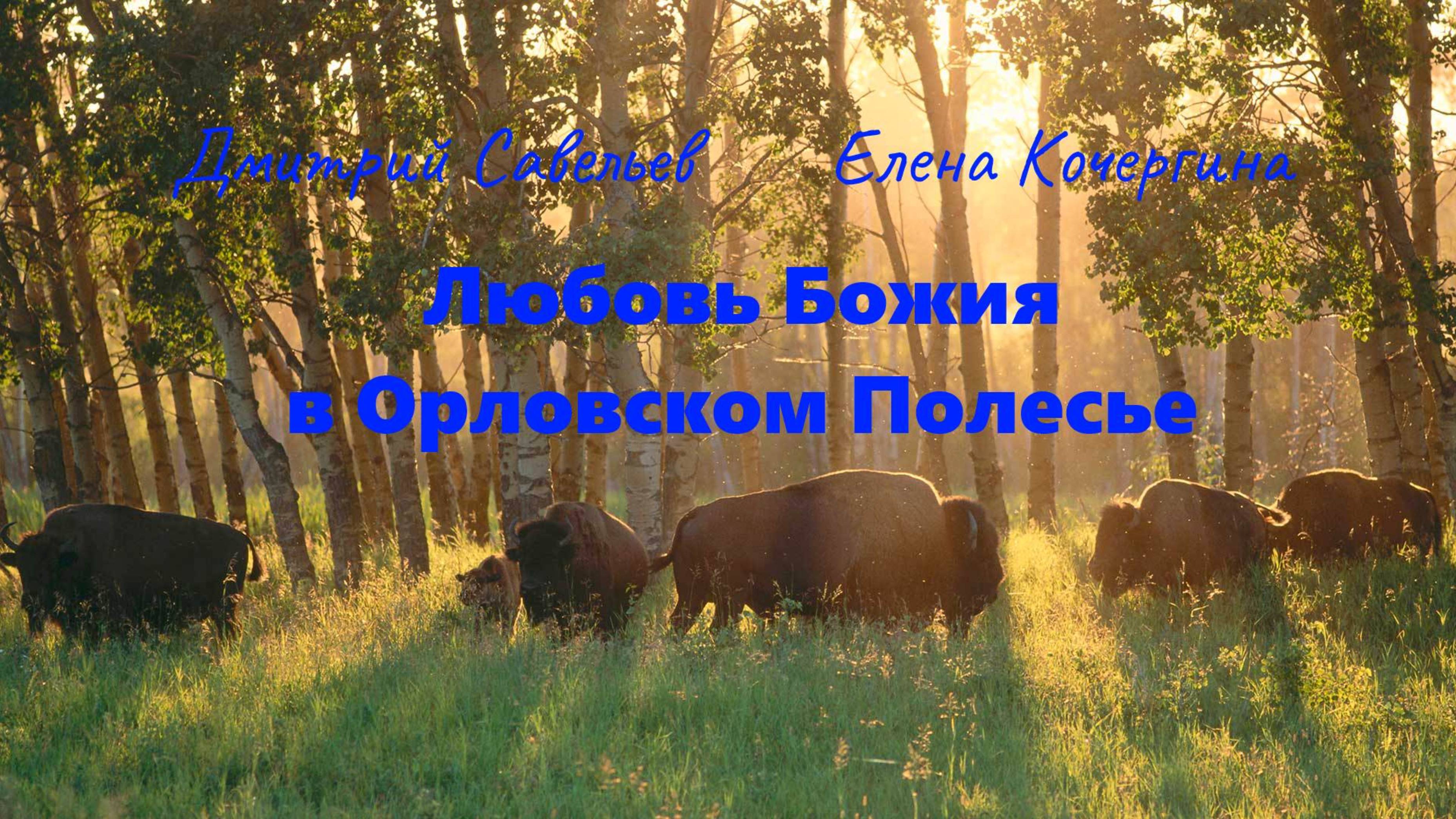 Любовь Божия в Орловском Полесье (Дмитрий Савельев, Елена Кочергина). Ч. 13