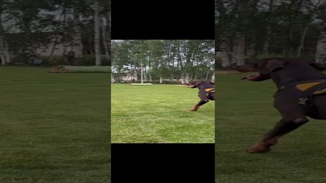 24_3d93271f