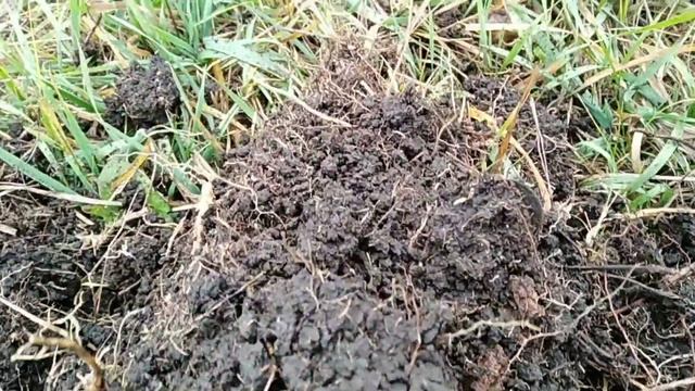 Серебро!!! Куча находок