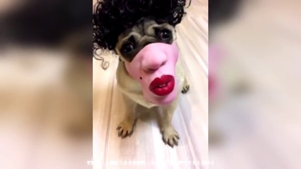 ПРИКОЛЫ 2025 ЯНВАРЬ / ПРИКОЛЫ / ЛУЧШИЕ ПРИКОЛЫ / Я РЖАЛ ДО СЛЕЗ / #приколы #приколы2025