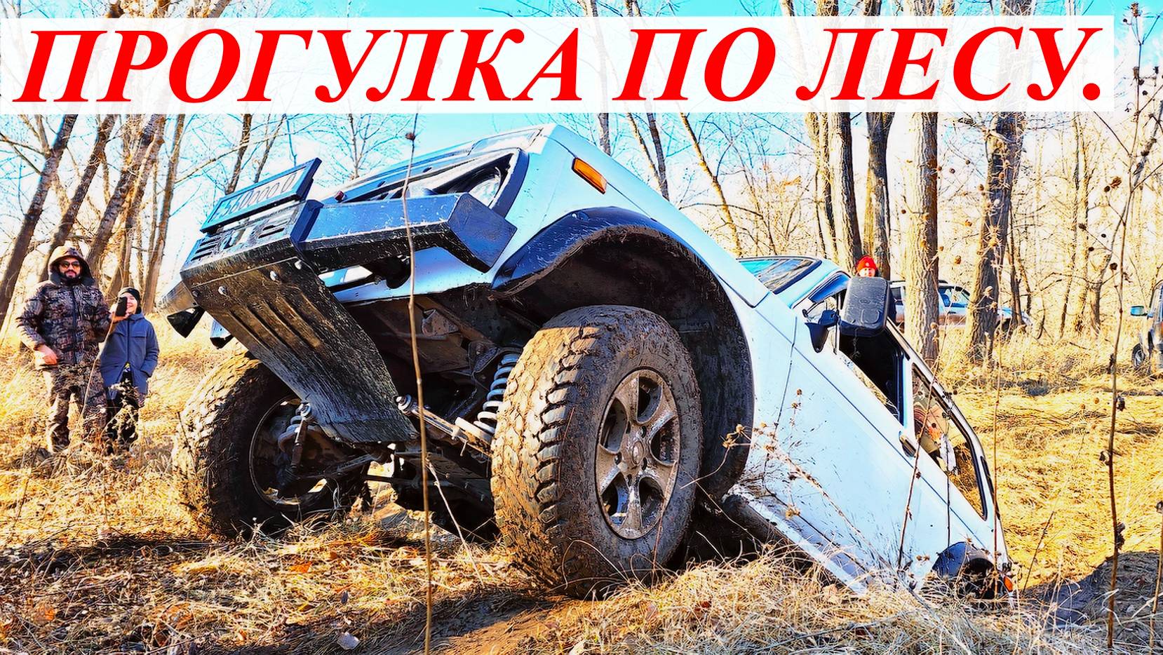 Порвал шину на лесном маршруту.