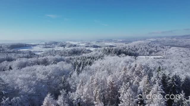 В белых просторах... V2