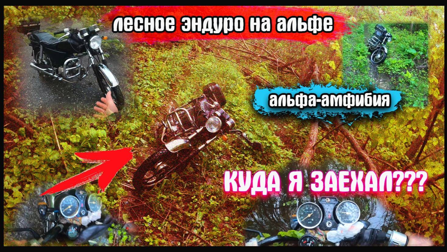Off-road на мопеде альфа. Внедорожные лесные покатушки