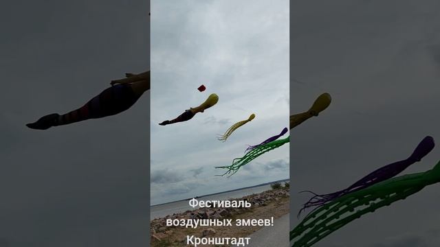 Фестиваль воздушных змеев! Кронштадт