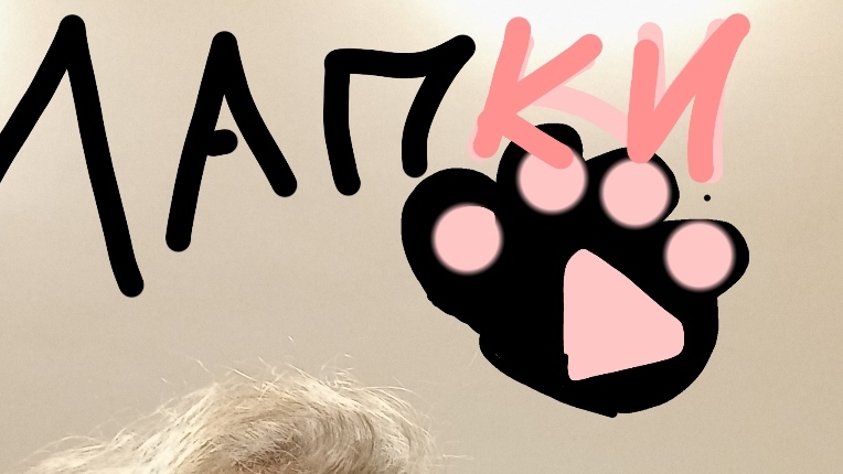 как сделать тапа лапку своими руками 2 часть