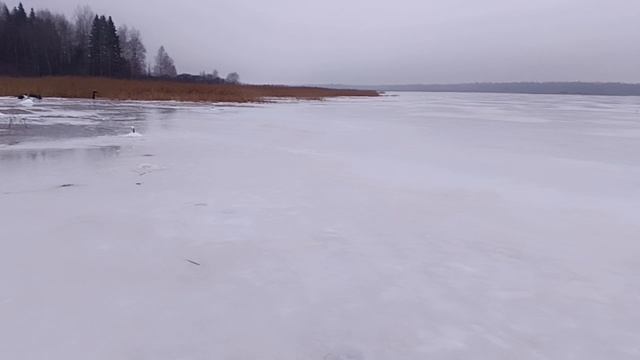 Волга 10-11 января 25 го