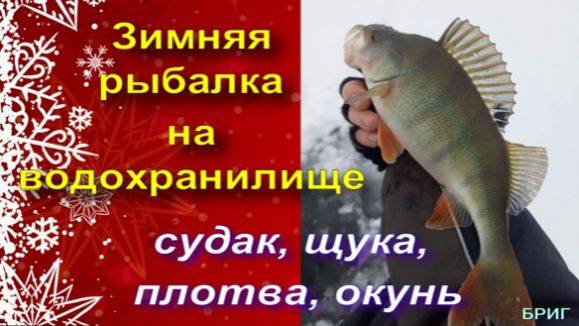 Зимняя рыбалка на водохранилище . Судак, щука, плотва, окунь .