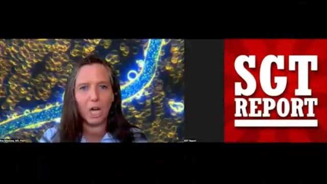 ПРОЕКТ_КРОВЬ_И_НАНОЧИПЫ_Михалча_1