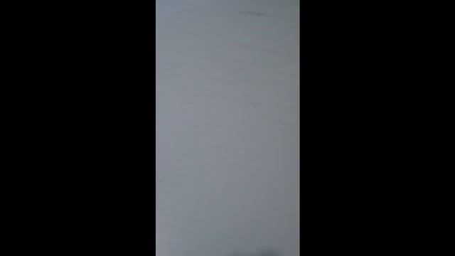 ужас на кухне от тараканов