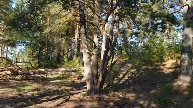 2021.07.10 - поездка в Кириллов